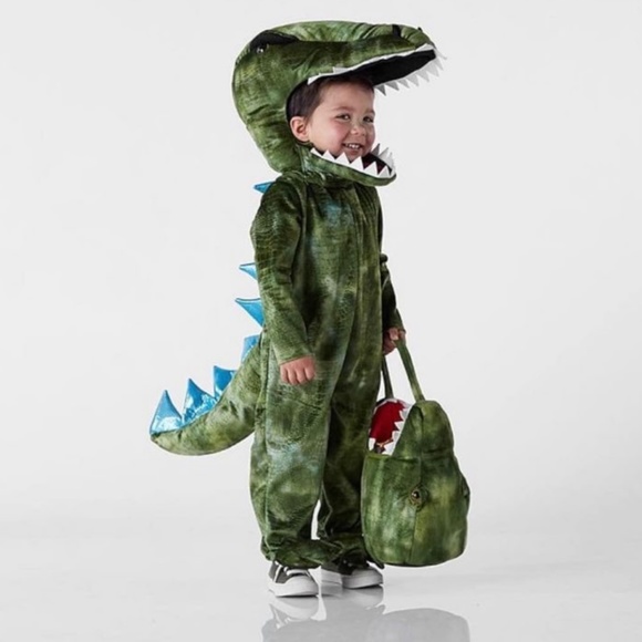 Pottery Barn Kids | Costumes | Pottery Barn Dinosaur Costume | Poshmark